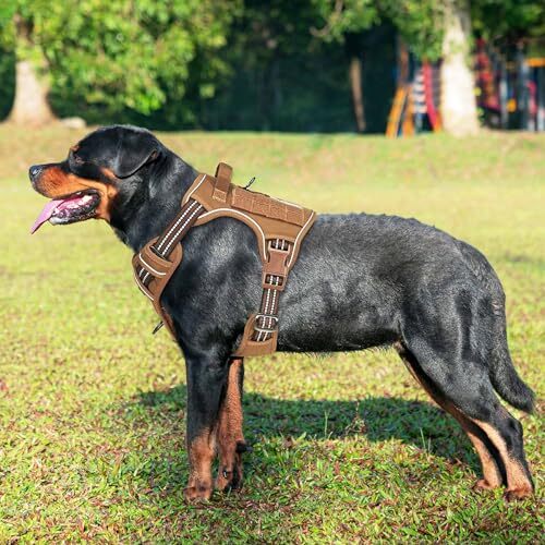 Heavy Duty Tactical Dog Harness for Dogs, No Pull Adjustable Pet Large ...