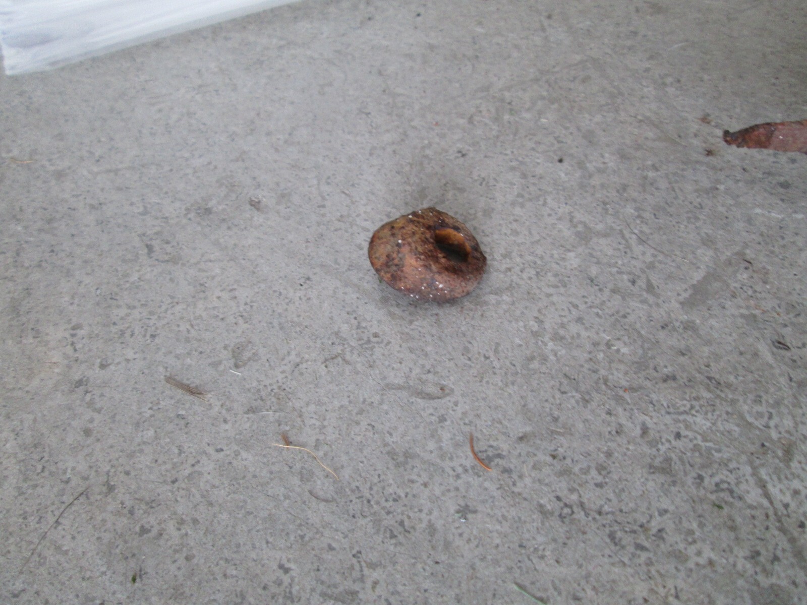 Flint & Walling Windmill Tower Cross Brace Wedge Washer, ONE OR MORE | eBay