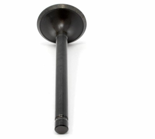 FIT 95-04 TOYOTA TACOMA 2.4L 2.7L 2RZFE 3RZFE INTAKE VALVE ITM RV-9559 ...