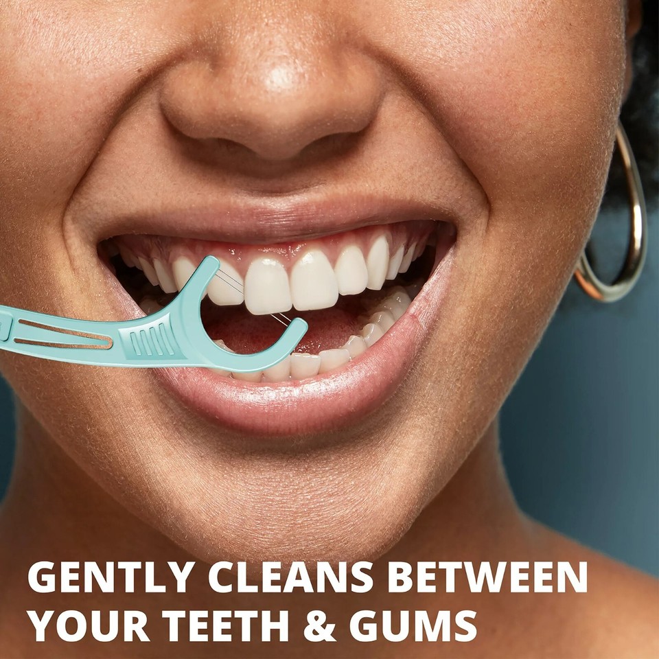 Plackers 75 TWIN-LINE DENTAL FLOSSERS | COOL MINT Oral Care Toothpick FLOSS PICK | eBay