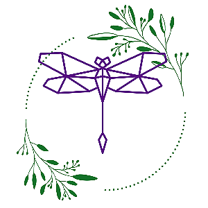 Dynamic Dragonfly Den | eBay Stores