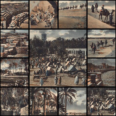Set of 12 postcards ex-Italian colony Tripolitania Libya Tripoli | eBay
