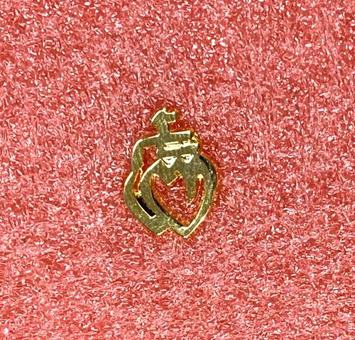 T31 Pins QUEBEC Nom Ville MONTREAL Souvenir Lapel pin Badge | eBay