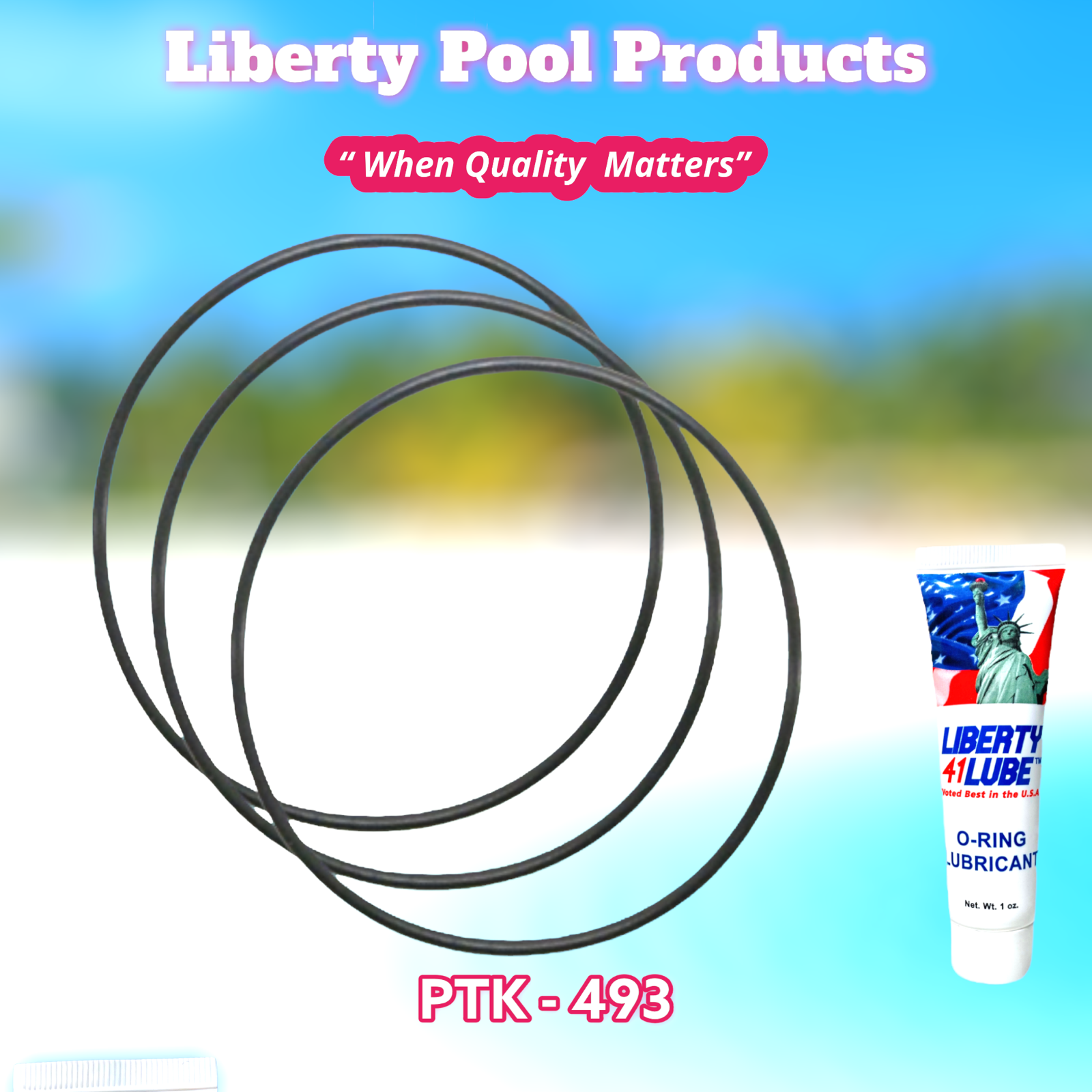 PTK-493 Fits Doughboy Powerline Pump 308-1228 O-Ring By Liberty Seals 3 ...