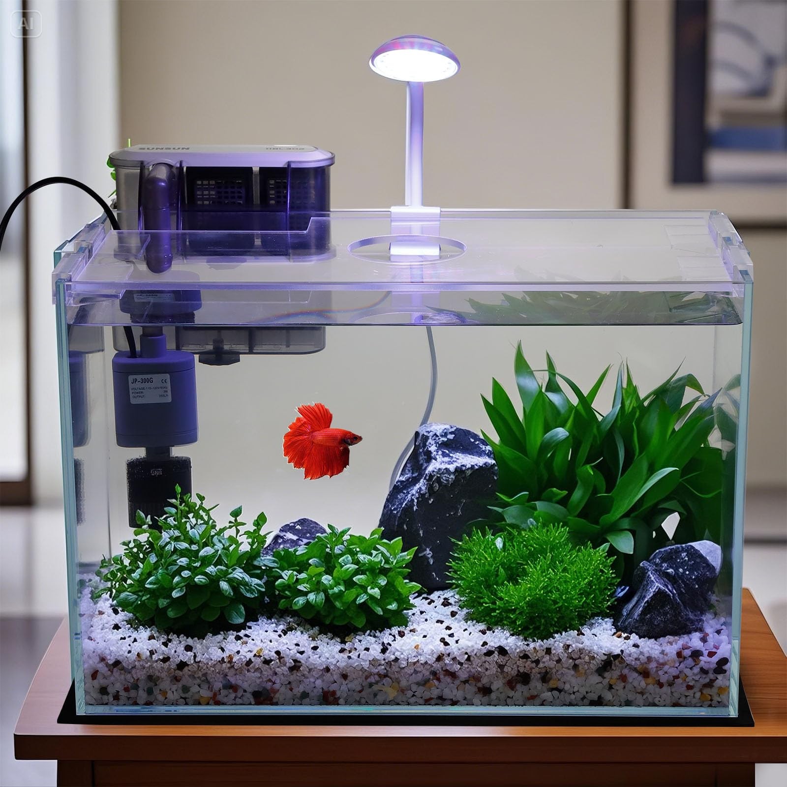 3 Gallon Glass Betta Fish Tank Starter Kit with Filter, LED Lights ...