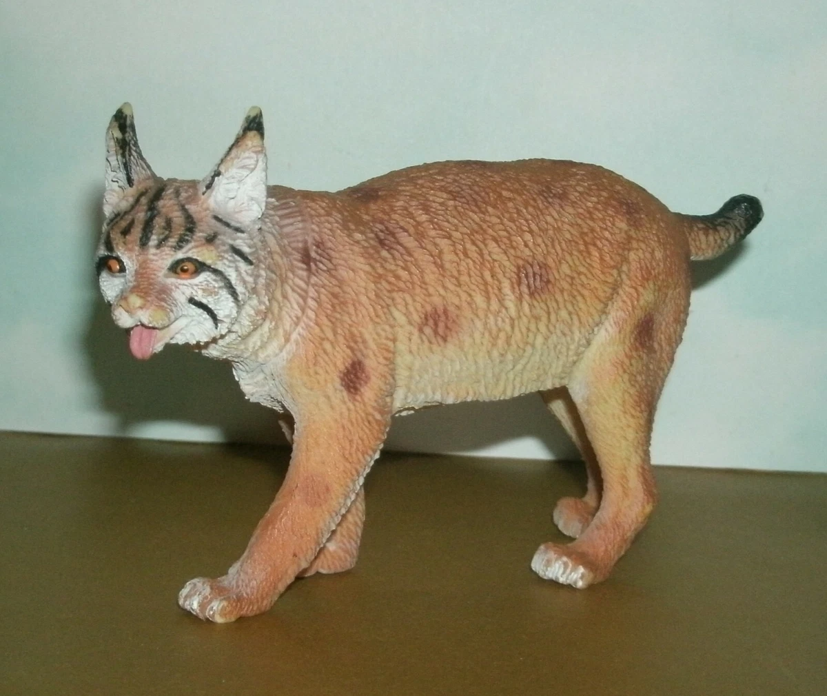 Lynx Cat Pet