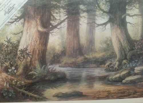 NEW BEGINNING limited edition print by Lee Roberson, Smoky Mountain Art ...