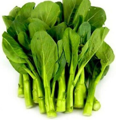 500+ Asian Yu Choy Choi Sum Chinese Flowering Cabbage Seeds ----- Early ...