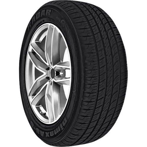 Radar Dimax AS8 255/45R19 High Performance All Season Tire | eBay