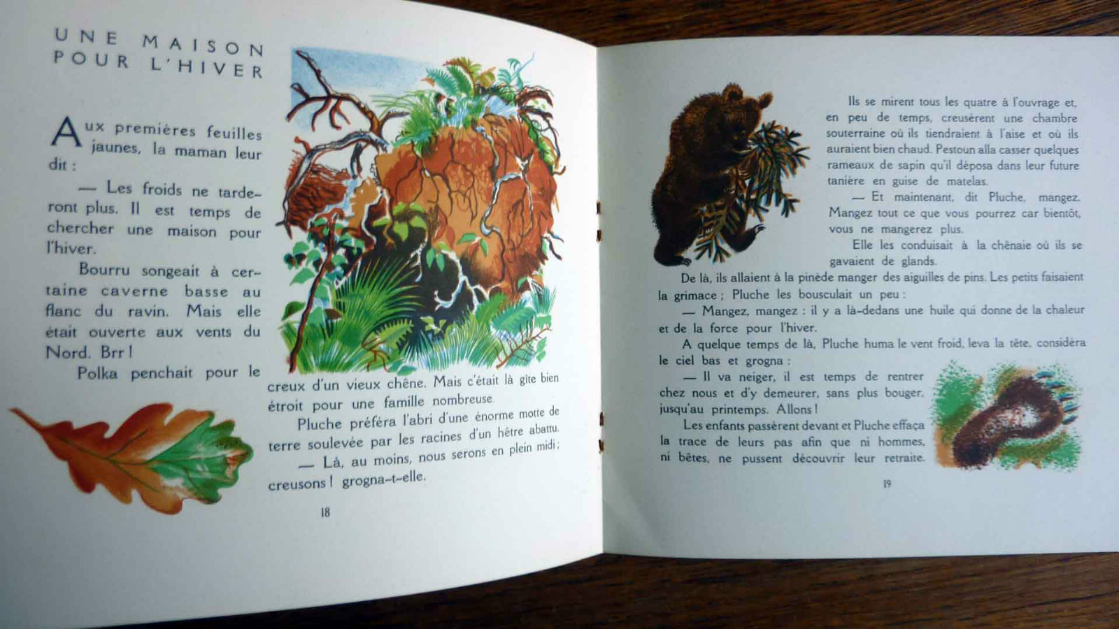 BOURRU L'OURS BRUN Album du Père castor Illustrations de Rojan 1936 | eBay