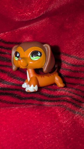 Rare Authentic Littlest Pet Shop Dachshund #675 LPS w/ Green Tear Drop ...