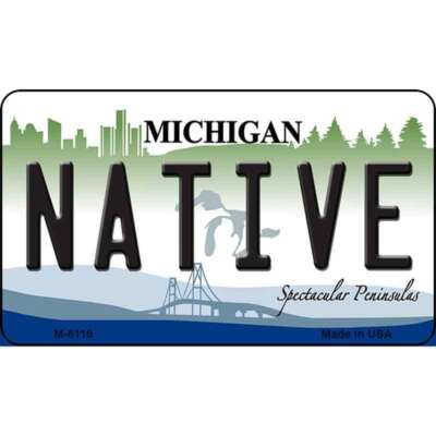 Native Michigan State License Plate Tag Novelty Magnet M-6116 | eBay