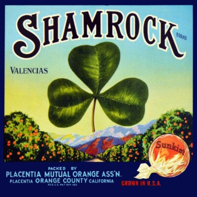 Shamrock Valencia Oranges - Clover Theme NEW Sign 40" Square USA STEEL ...
