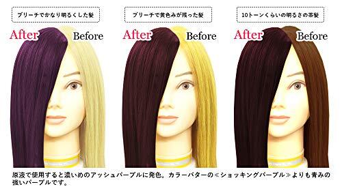 Ancels Color Treatment Butter Hair Color Damage Care 200g Japan Ash ...