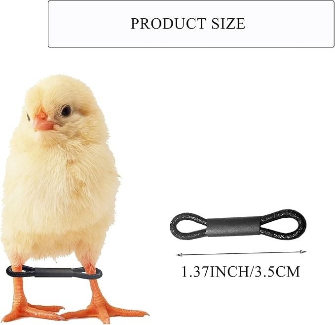 100 Pieces Baby Chicken Splay Leg Hobble Brace Adjustable Poultry Bands ...