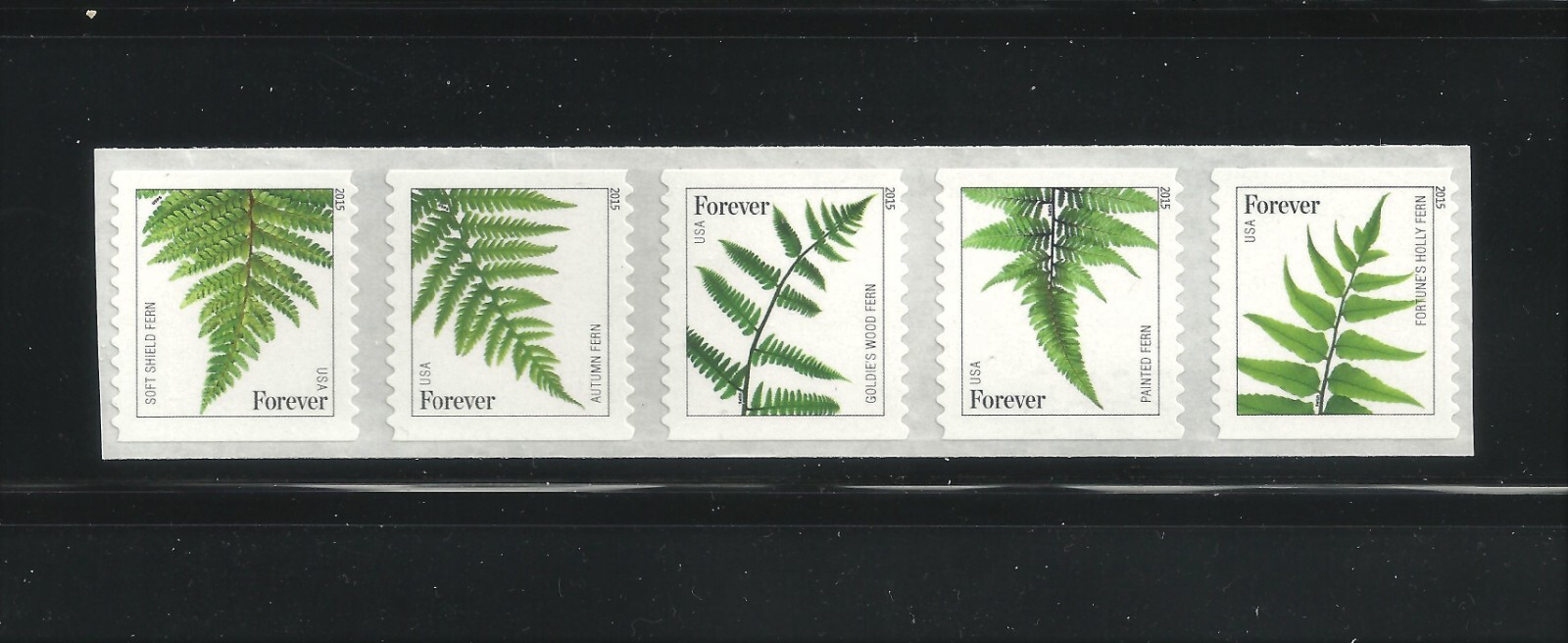 US 2015 SC#4977c FERNS COIL POSTAGE STAMP STRIP OF 5 MNH | eBay