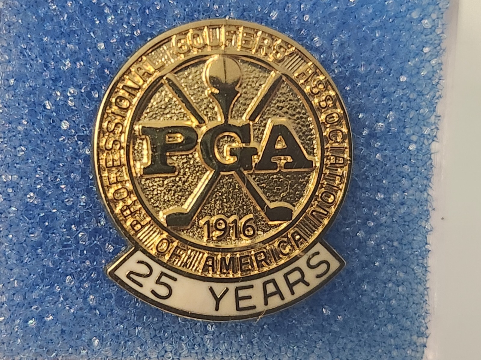 PGA Professional Golfers Association 1916 25 Years Lapel Pin 1/10 10K ...