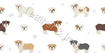 New English Bulldog Colors Pattern Dog Vinyl Checkbook Cover | eBay
