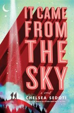It Came from the Sky by Chelsea Sedoti (2020, Hardcover) for sale ...