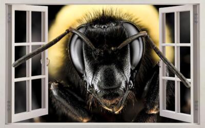 Bumblebee Bee 3D Window Decal Wall Sticker Home Decor Art Mural Animals ...