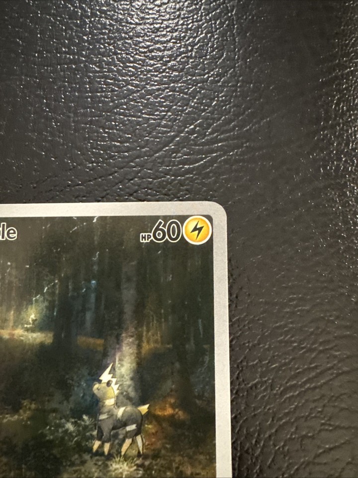 Blitzle 195/182 Sv:04 Paradox Rift Illustration Rare Pokemon TCG | eBay