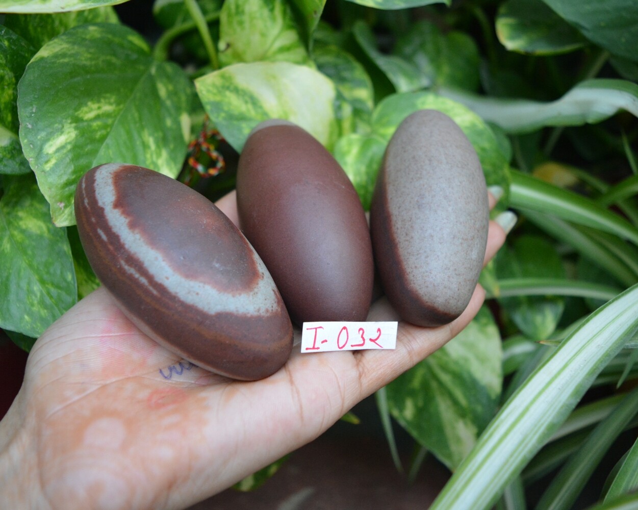 3" Natural Shiva Lingam ,Colorful Natural Narmada River Lingam~I-032 | eBay