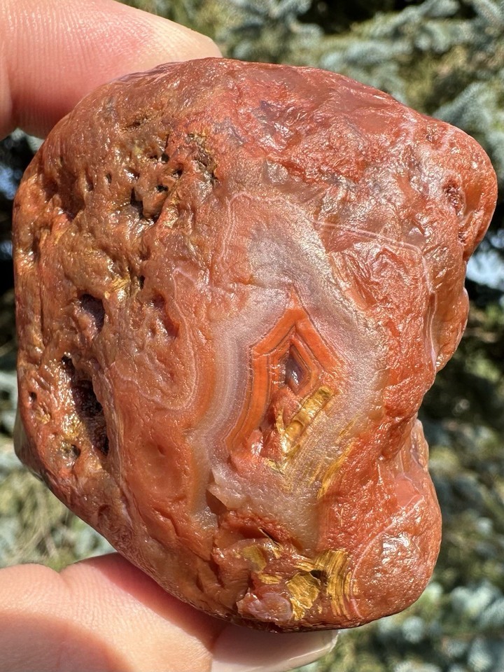 8.9oz Lake Superior Agate Solid Gem | eBay