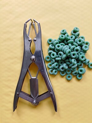 8" Heavy-Duty Elastrator Banding Tool Kit - Castration Pliers + 100 ...