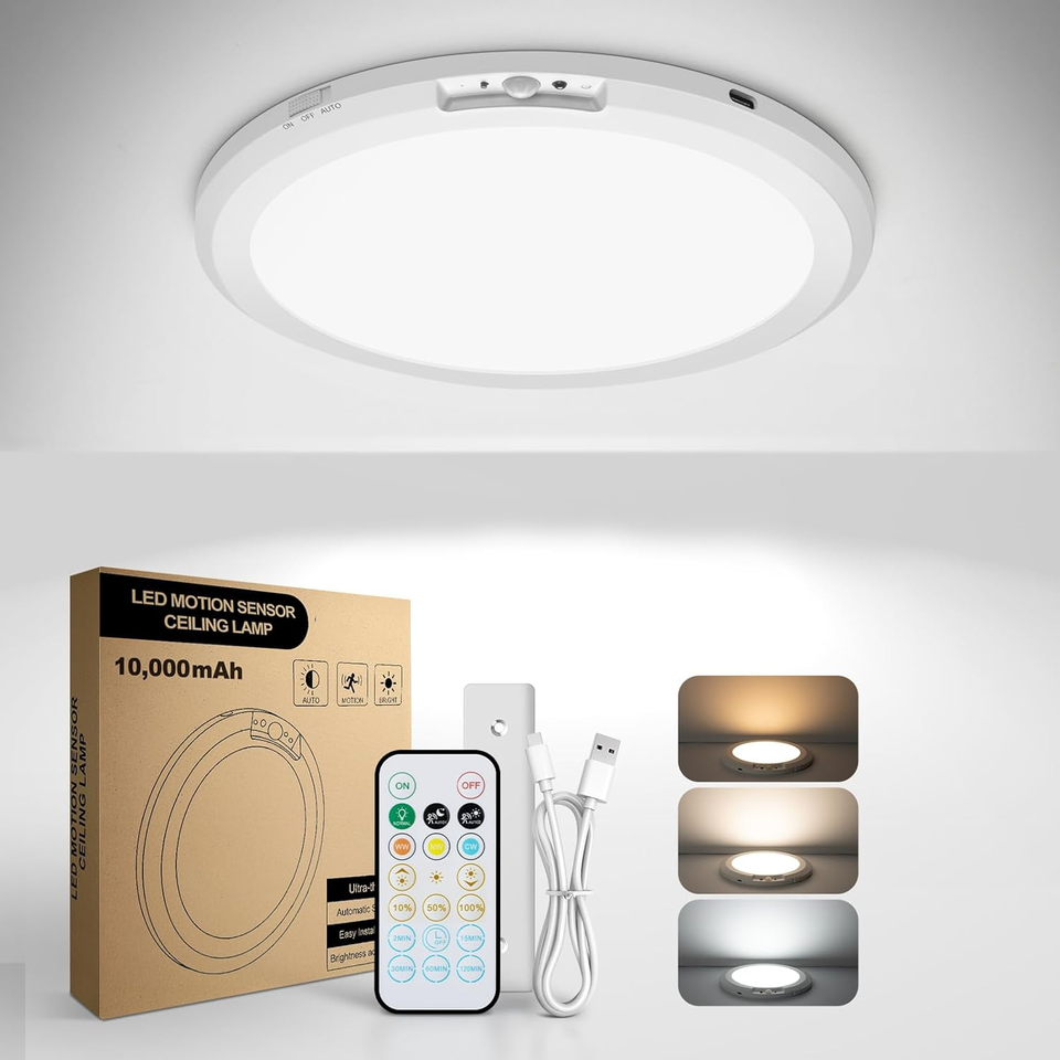 10,000mAh Rechargeable Waterproof Ceiling Light with Remote and Motion ...