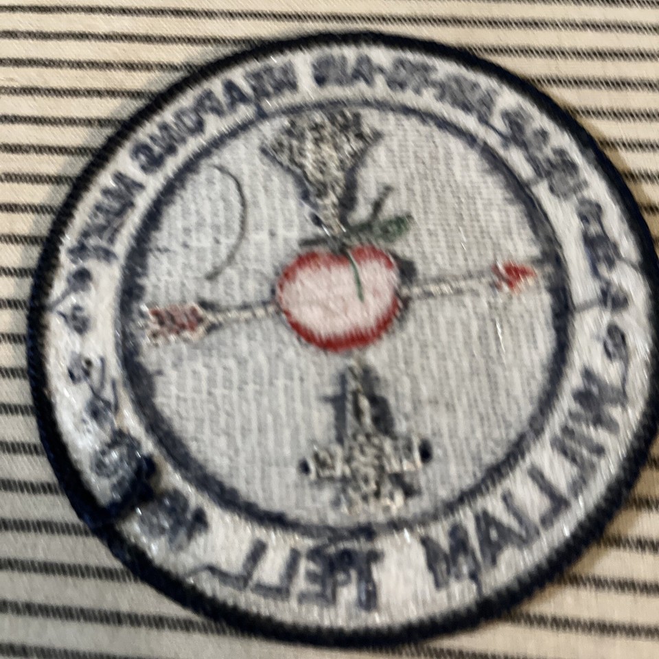 US Air Force 1994 William Tell Weapons Meet Patch Tyndall AFB, FL | eBay
