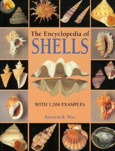 THE ENCYCLOPEDIA OF SHELLS By Kenneth R. Wye 1861609523| eBay