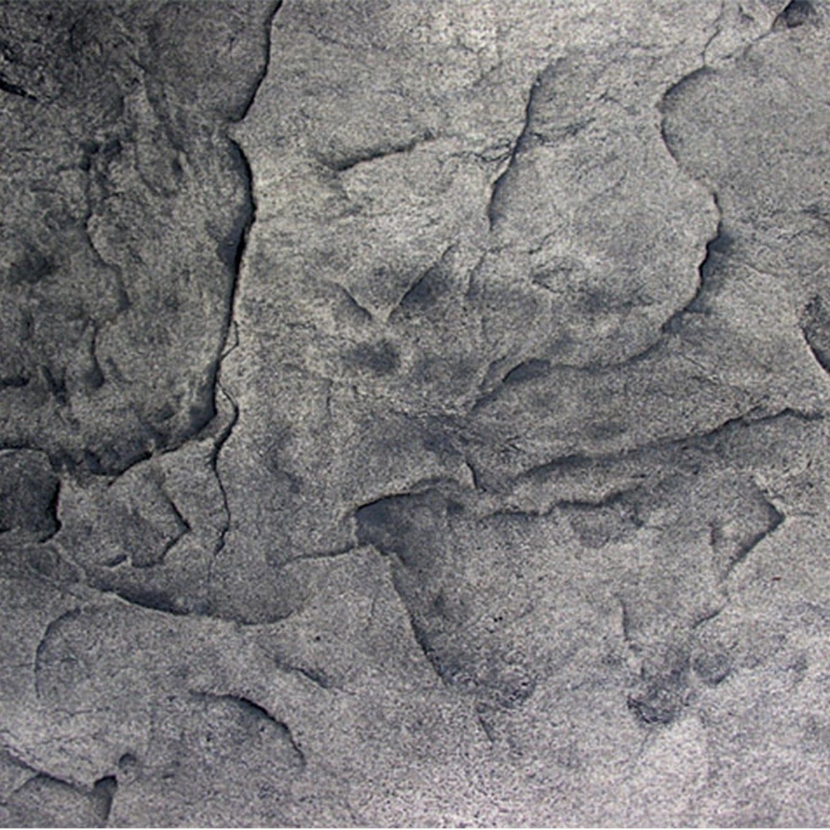 Rock Roller Concrete RollerRock Rollable Stone Coating Daich