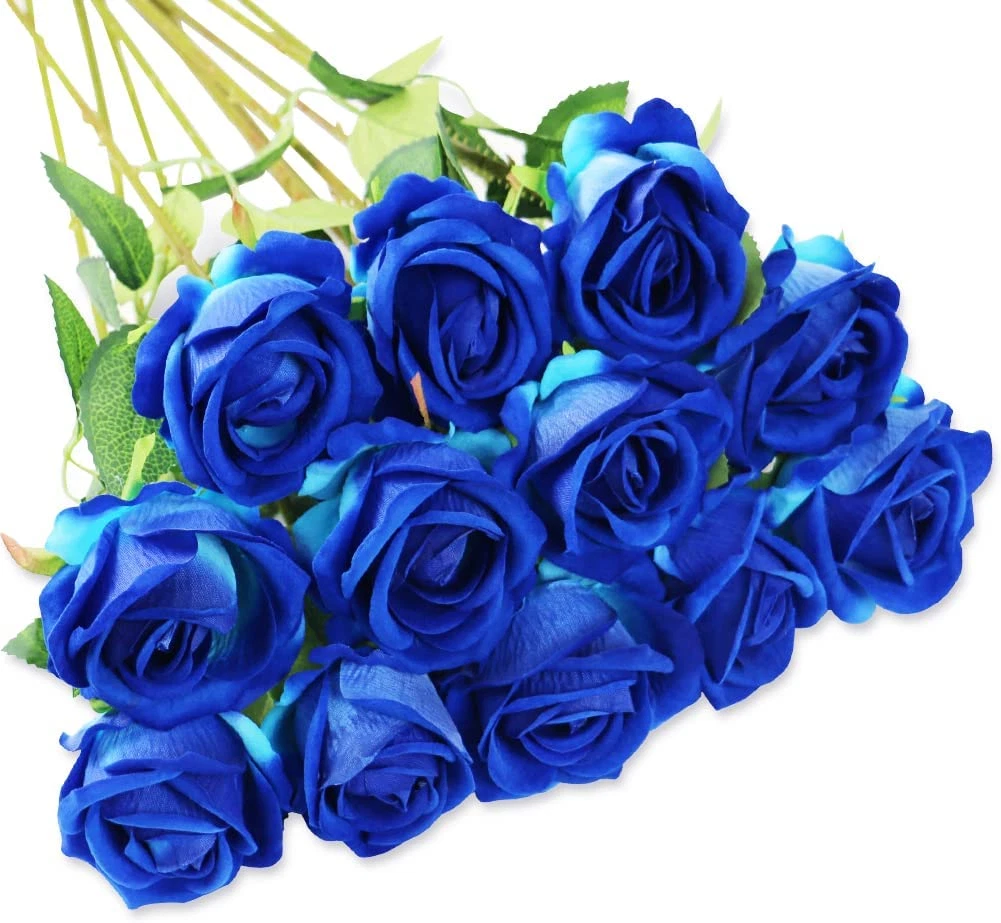 Single Blue Roses Pictures