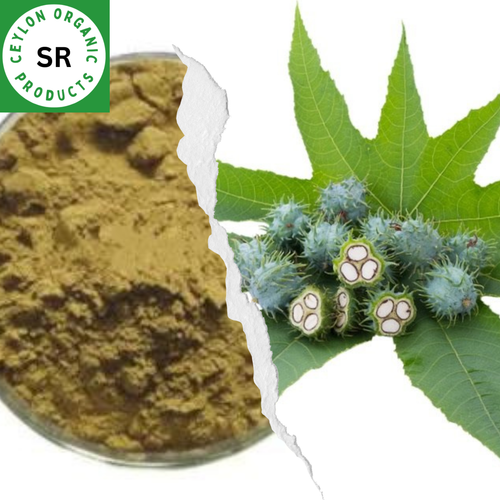 Dried Castor Leaves Powder Organic Ricinus Communis Ayurvedic Natural ...