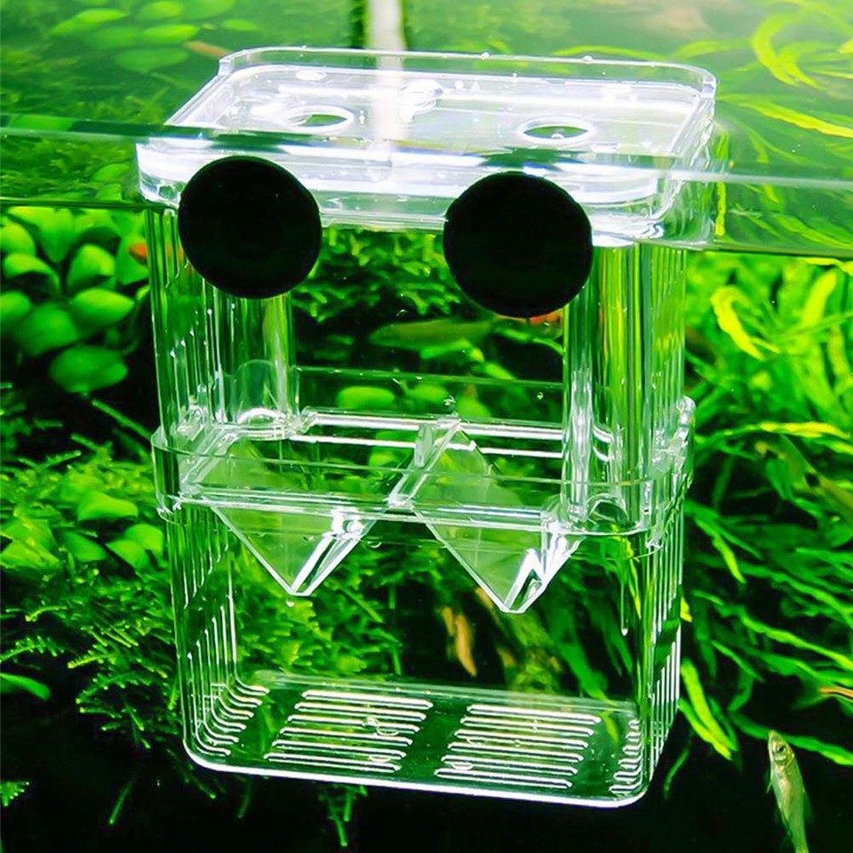 Aquarium Fish Breeder Box Plastic Fish Isolation Breeding Box Hatching ...