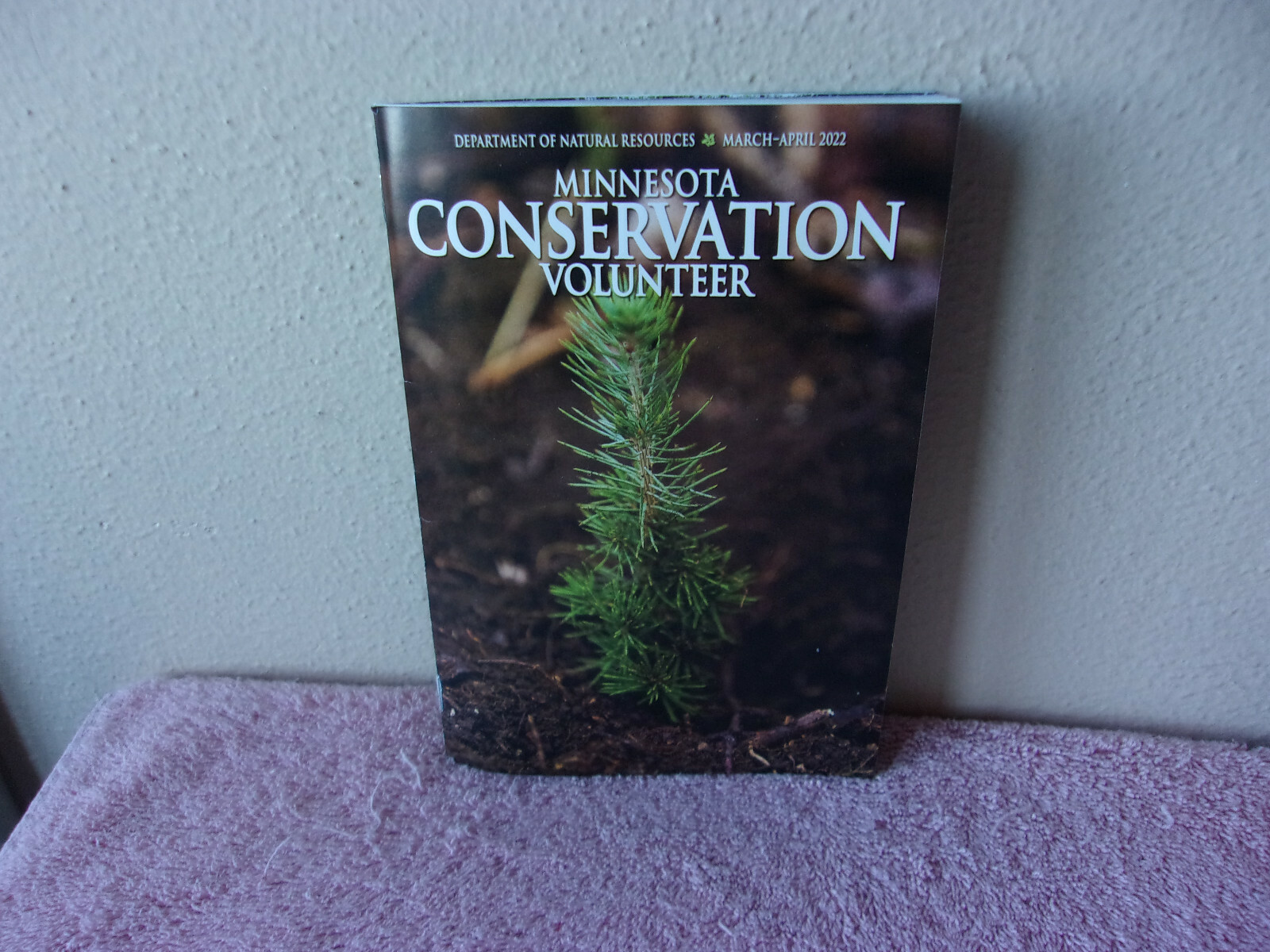 MINNESOTA CONSERVATION VOLUNTEER MAGAZINE. NEW FOREST MARCH / APRIL ...