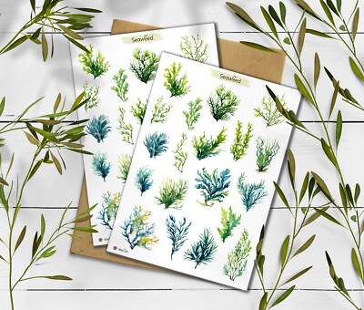 Seaweed Stickers. Sea Coral Sticker. Sea Life Stickers. Nautical ...