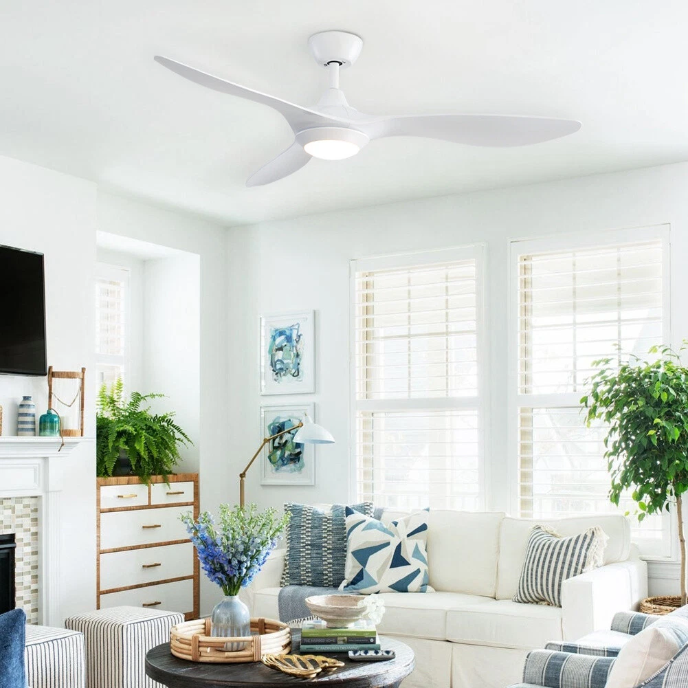 Large White Ceiling Fan With Light | Shelly Lighting