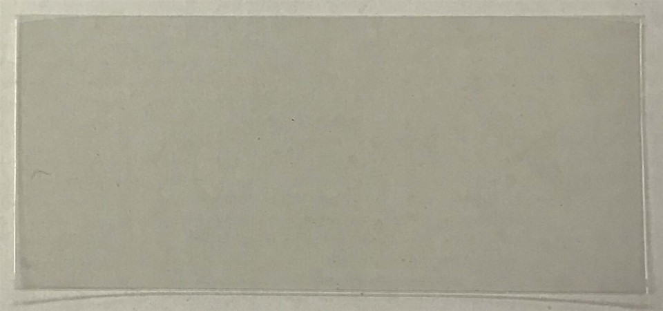 100 Mylar Polyester Currency Sleeves Holder Large US Banknote ...