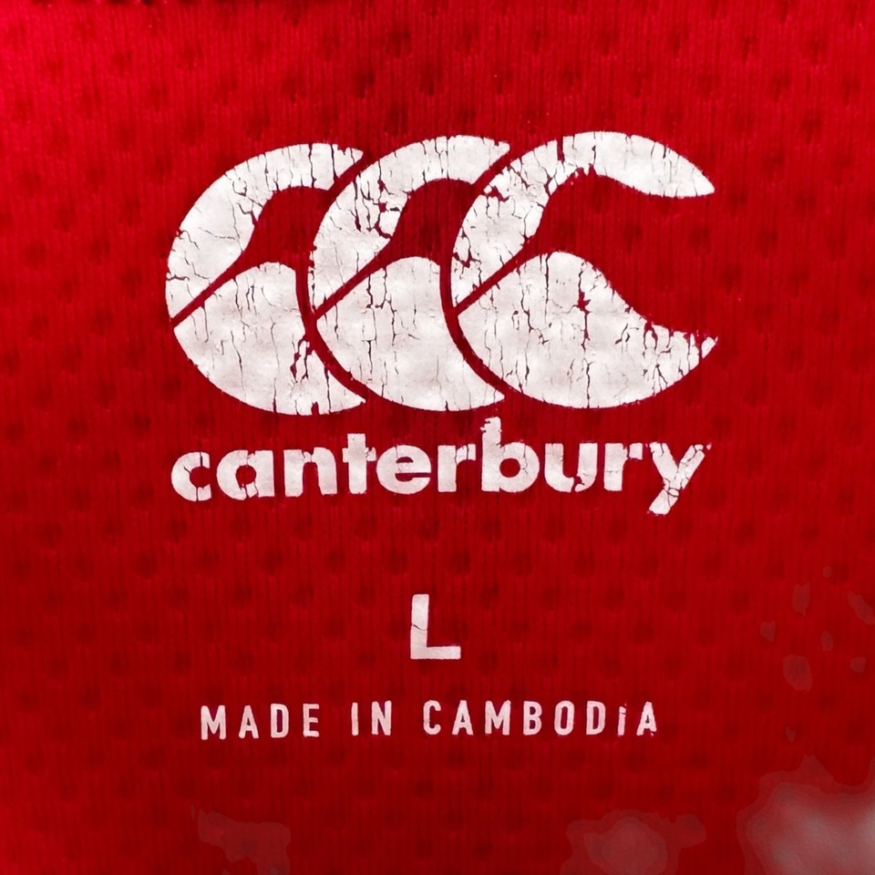 British & Irish Lions Rugby Shirt 2017 New Zealand Tour Canterbury Mens ...