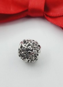 pandora-addict-365 | eBay Stores