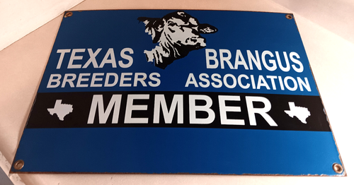 TEXAS BRANGUS BREEDERS ASSOCIATION MEMBER CATTLE PORCELAIN SIGN 1930'S ...