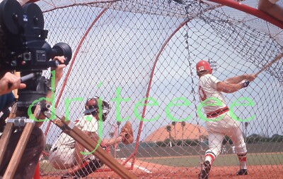 Andy Merchant BOSTON RED SOX - OZZIE SWEET Dupe Slide | eBay