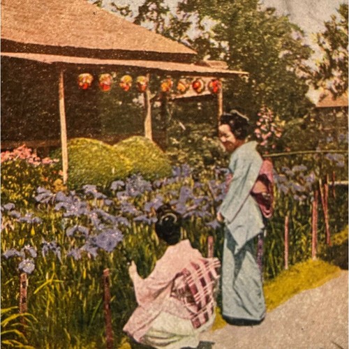 Atq Stereoscope Photo Card Hand Colored B&W World Series No170 Iris ...