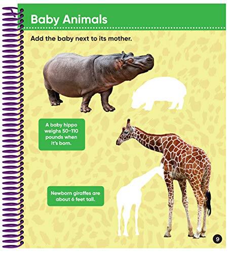 Brain Games - Sticker by Number: Safari Animals (For Kids Ages 3-6): A ...