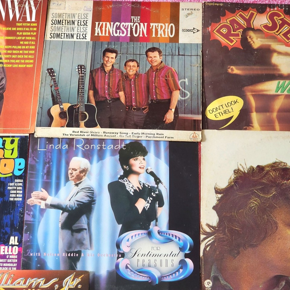 Vinyl Record Lot of 30 Country Southern Rock Pop 70s 80s 90s Lps 12" LP ...