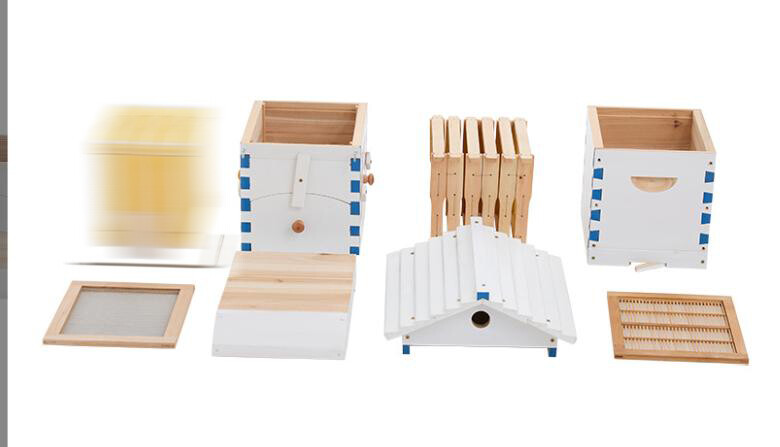 Auto Beehives Honey Boxes Bee Hive Mini House box 10x Beekeeping Brood ...