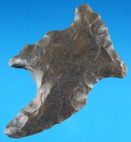 Super Fine Authentic Kentucky Shawnee Springs Eccentric Big Sandy ...