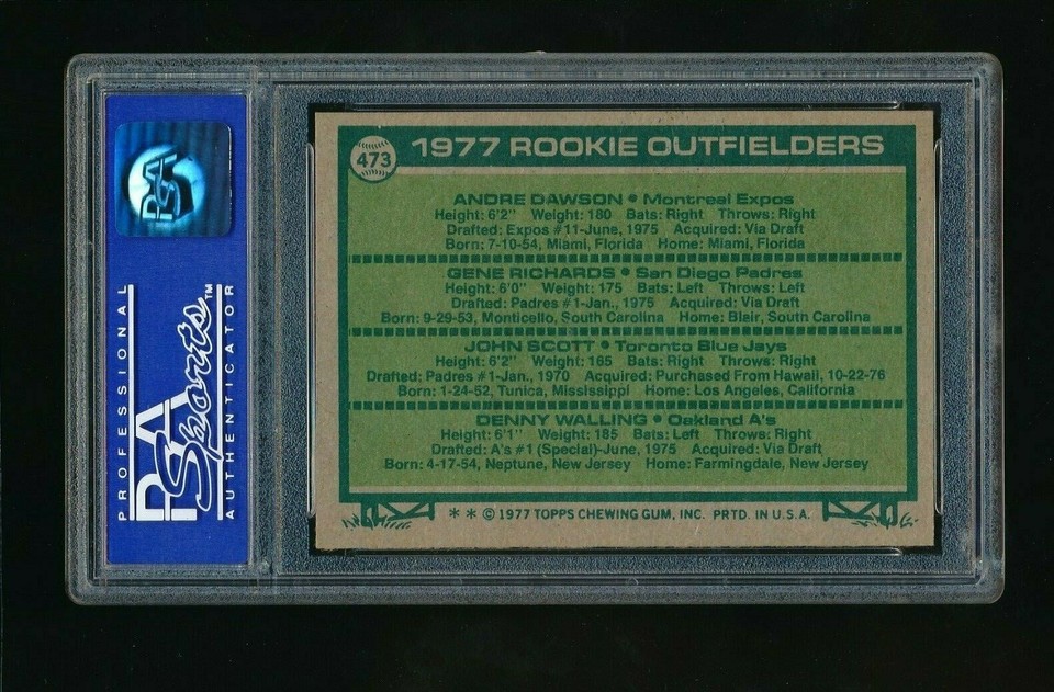 1977 Topps #473 Rookie Outfielders Andre Dawson Rookie Card PSA 9 MINT ...