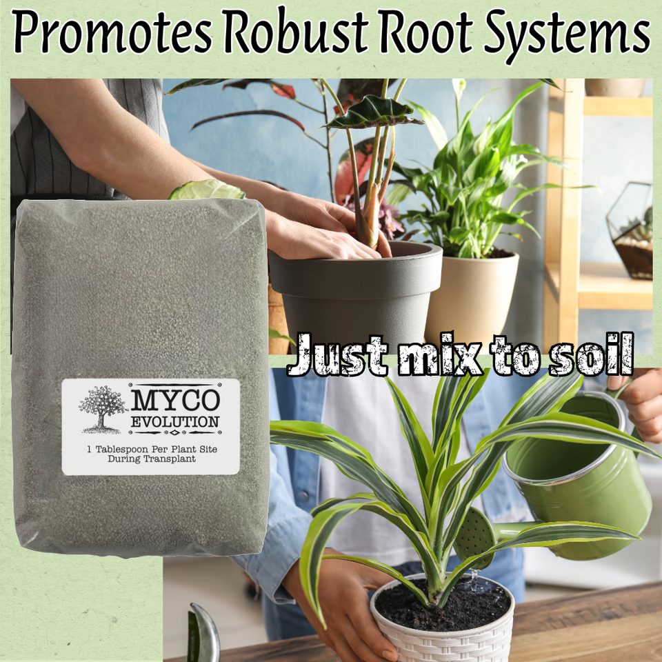 Myco Evolution 5 Lbs Mycorrhizae Root Fungi Granular Mycorrhizal 134 ...
